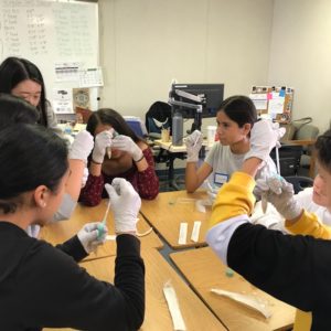 Our Programs - YFIOB